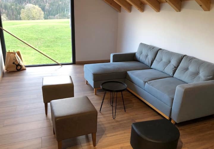 Très Beau Challet Luxueux - Gex