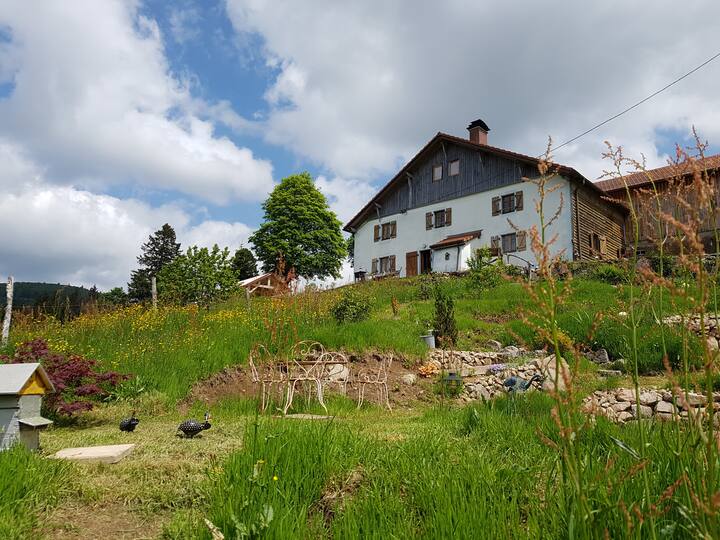 Chambre Douillette à La Ferme - Bussang