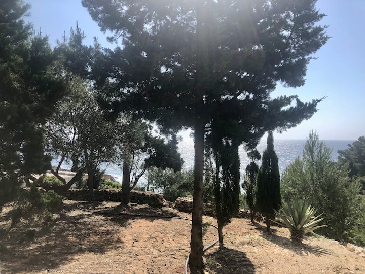 Villa With Sea View, Marina Di Novaglie - Gagliano del Capo