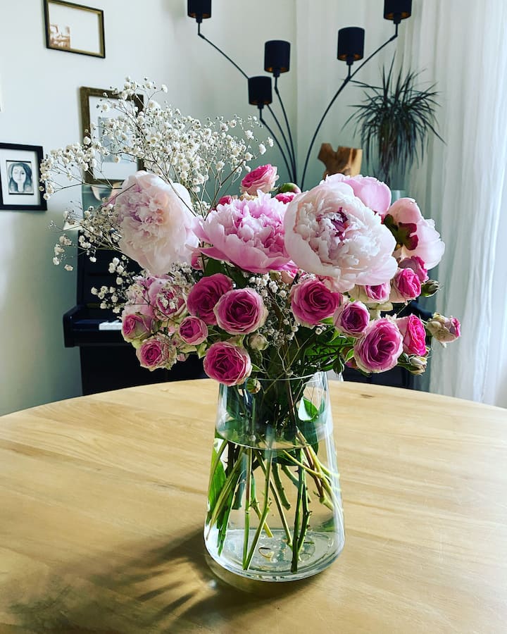 Nouveau - La Jolie Maison D'alphonse, Bretagne - ibis Styles Saint Brieuc Gare Centre