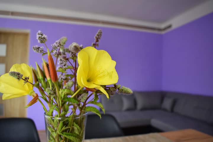 Penzion Na Borůvkovém Vršku - Apartmán č.2 - Český Krumlov