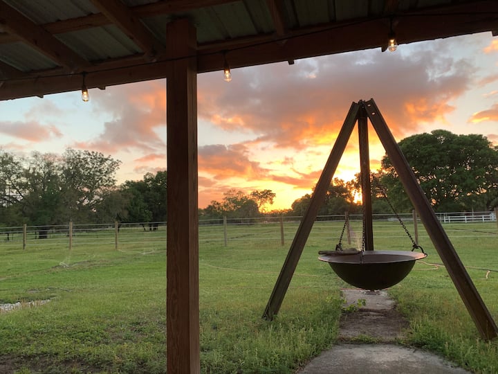 Horse/farm-comfort Of Home In The Country - Dade City, FL