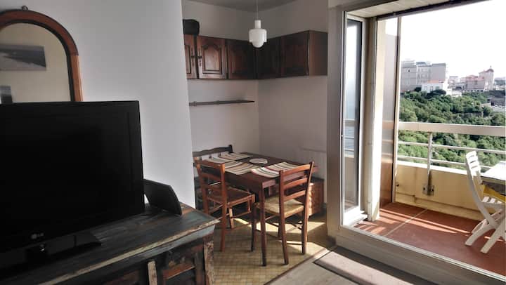 Biarritz Studio Front De Mer - Biarritz