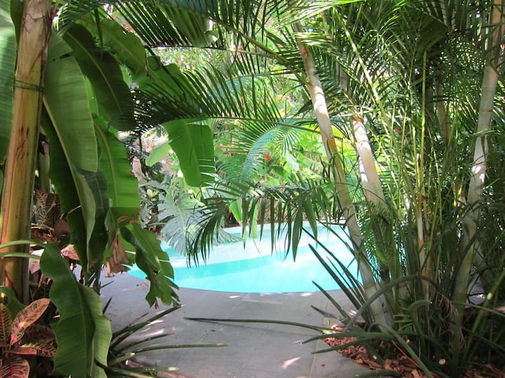 Private Apt In A Tropical Oasis, Guava - Mérida