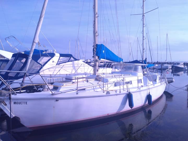 Voilier 12 Mètres Tout Confort - Agde