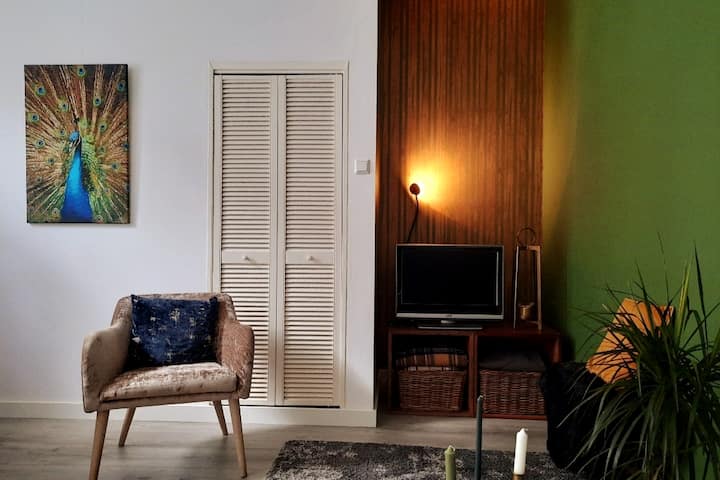 Benedenwoning Centrum Haarlem! - Haarlem