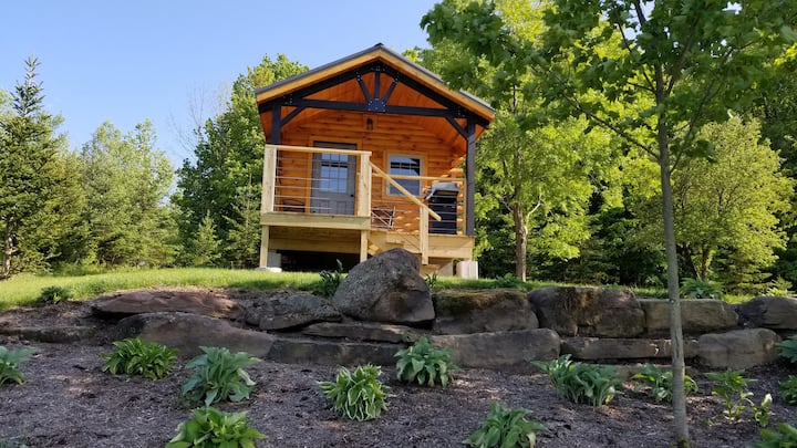 Bear-ly Camping Gray Cabin - State of New York