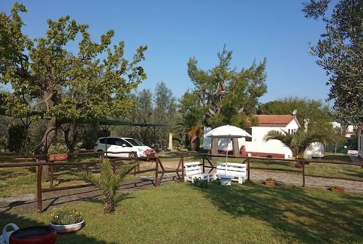 Domus Vestae - Peschici