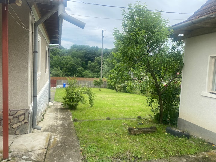 Forest Party House - Novaci