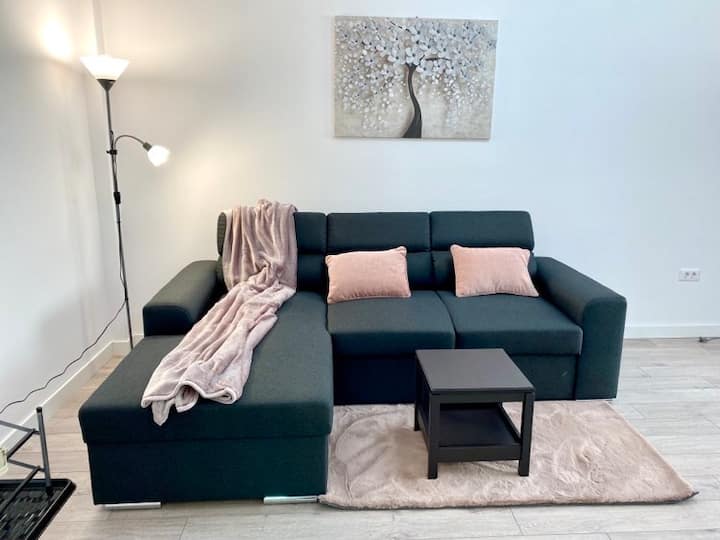 Angela Nordic Apartment. - Suceava