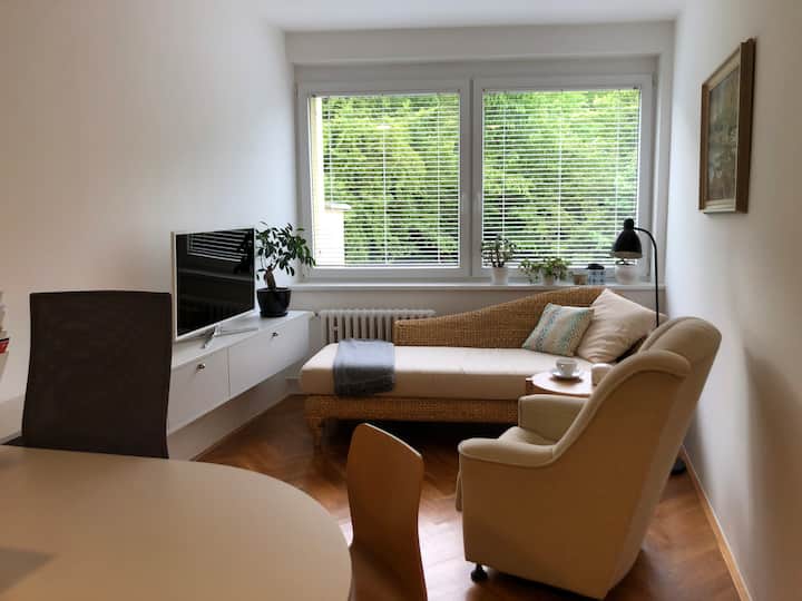 Comfortable Apartment In A Quiet Area Near Center - Prague Václav Havel Airport (PRG)