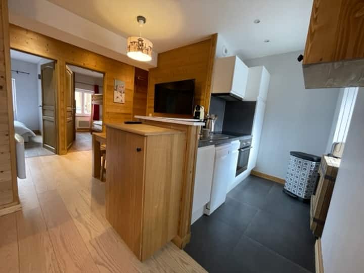 Appartement Cosy Au Pied Des Pistes - Les Deux Alpes