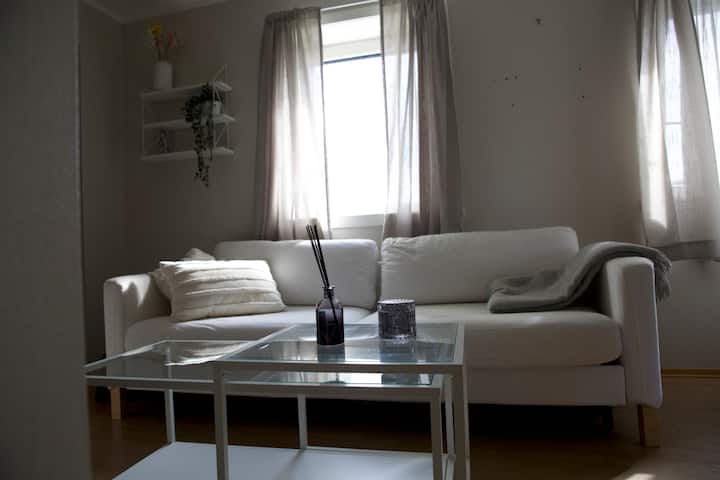Koselig Og Sentral Leilighet - Oslo