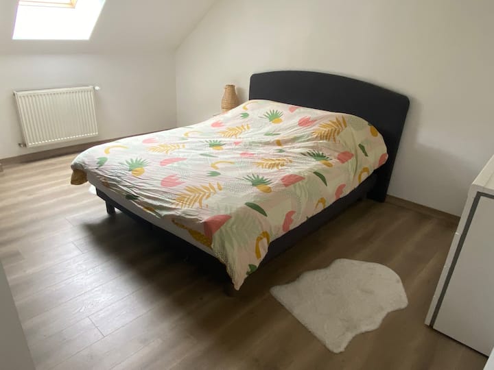 Chambre Spacieuse Privée - Thionville