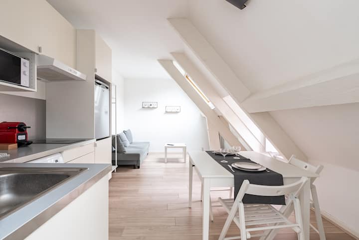 Studio Hypercentre Dans Hôtel Particulier - Dijon