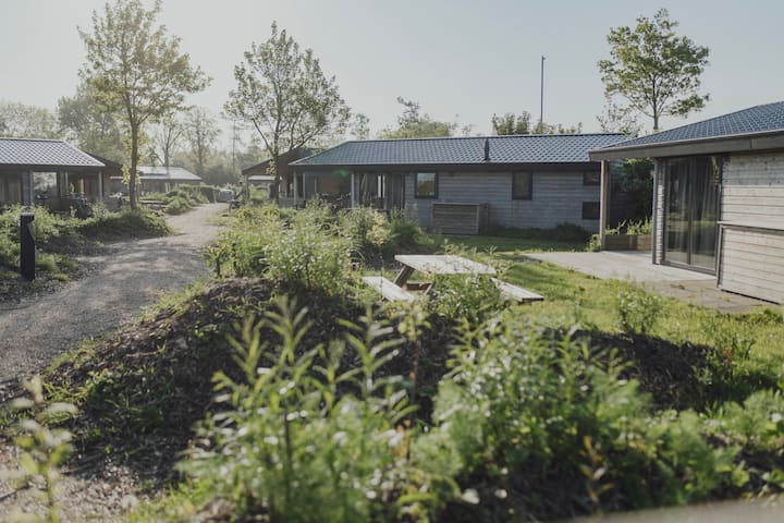 Verandahuisje In Natuurlijke Omgeving - Domburg