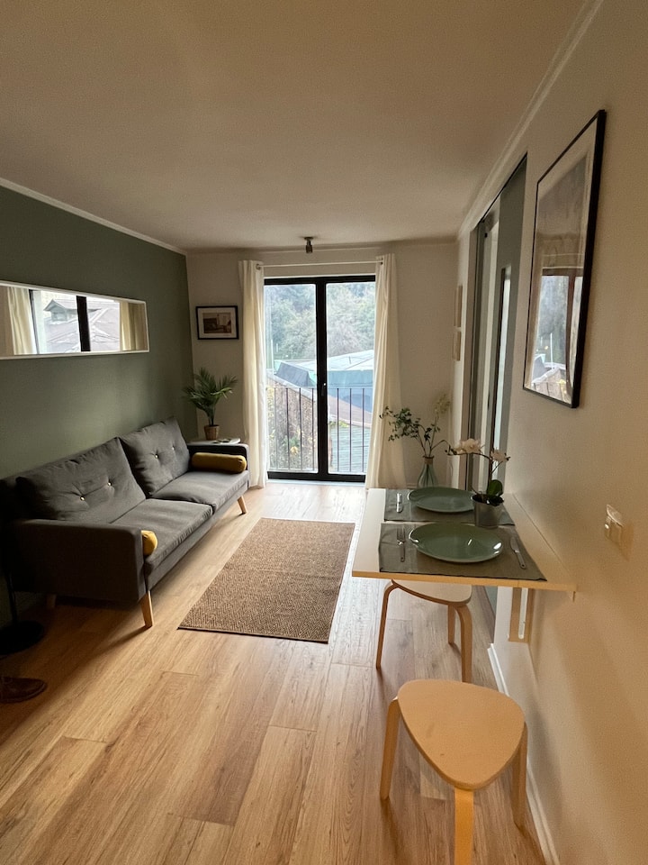 Departamento Barrio Lastarria 1 - Santiago