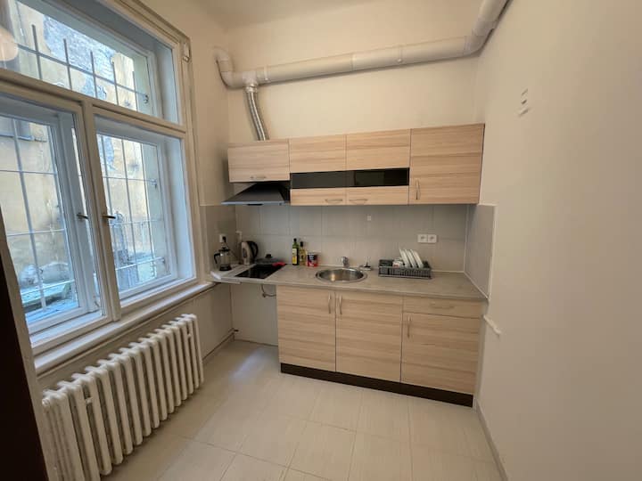 Spacious Room In City Center - Praga