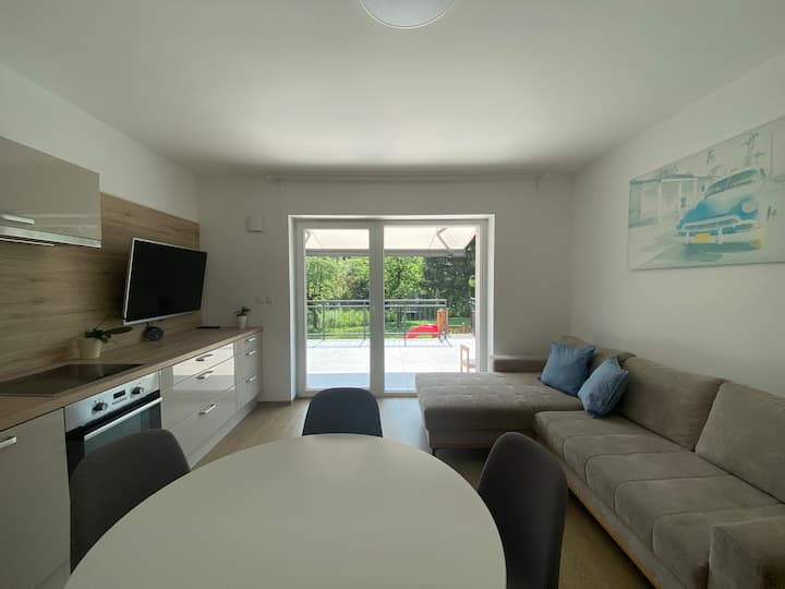 Vila Ada; Delux Apartment A1, Terrace, Big Garden - 류블랴나