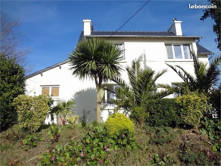 Ker Salam, Falaises Et Palmiers - Plage de Plouha (Bréhec)