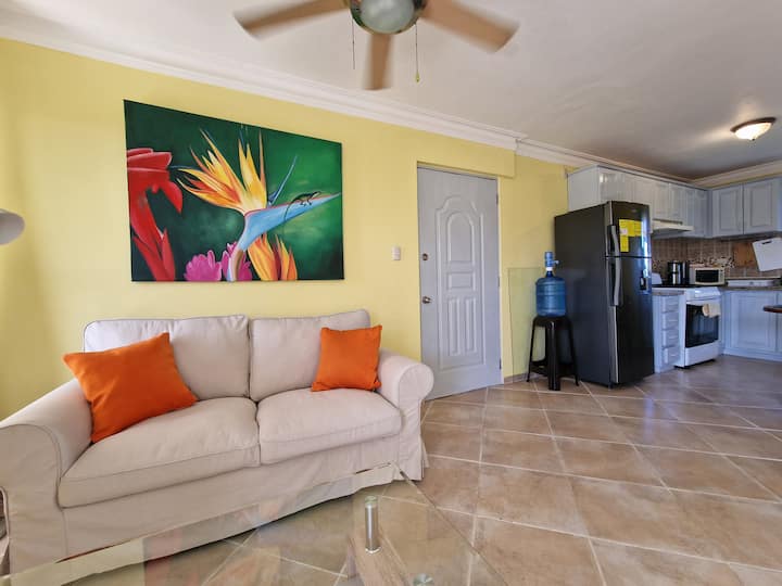Peaceful Apartment Walk To Beach & Downtown - Dominican Republic