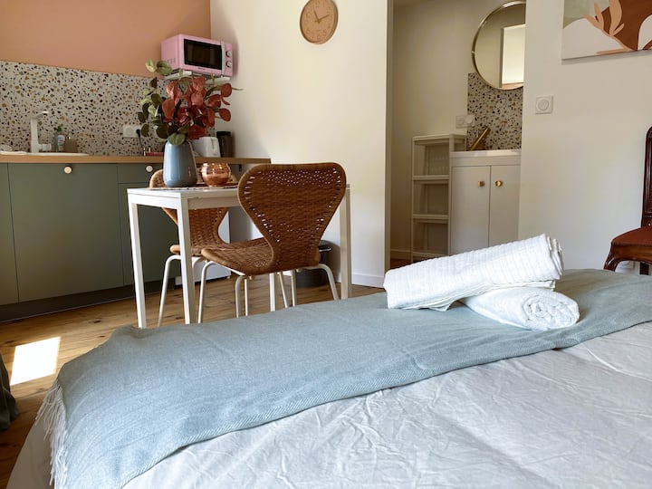 Chez La Frangine • Studio • Climatisé - Bourg-lès-Valence