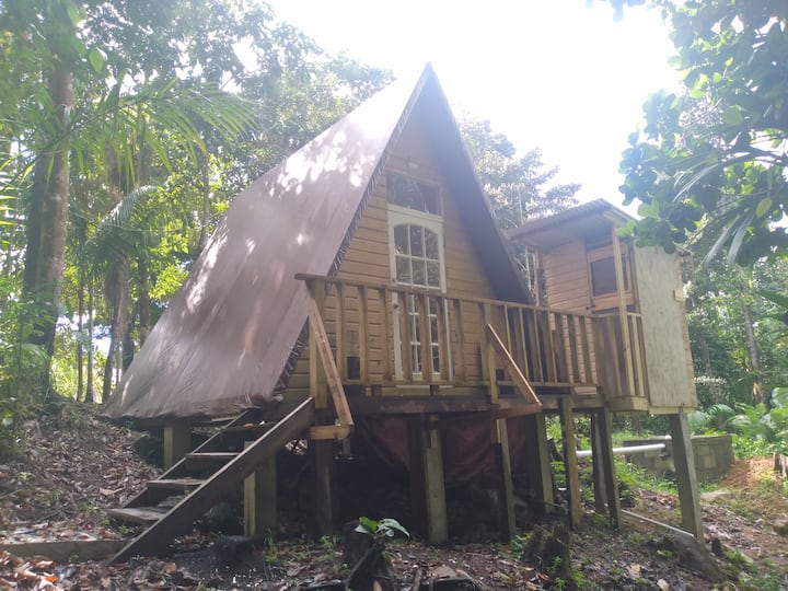 D'senaj A-frame Cabin - Roseau