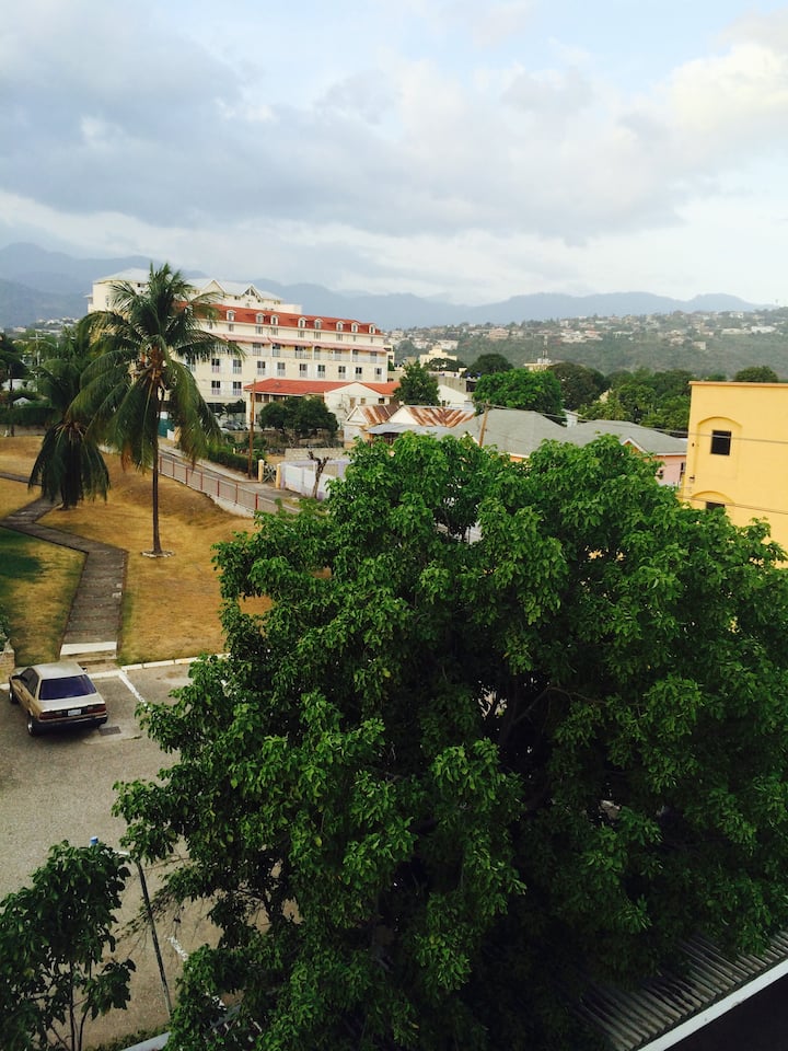 New Kingston Mountain-view/gated Condo - Kingston
