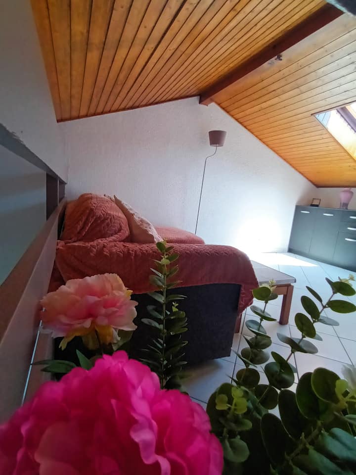 Appartement F2 Vu Sur Le Lac - Évian-les-Bains
