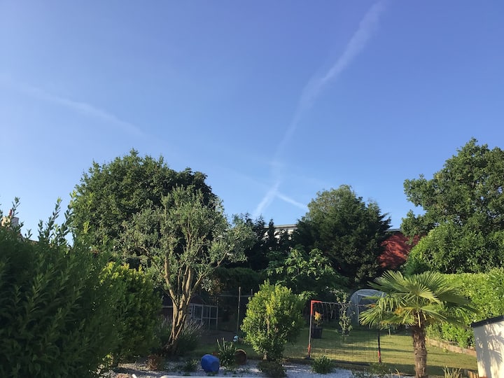 Chambre 13 Km Puy Du Fou Avec Petit Déjeuner - Les Herbiers