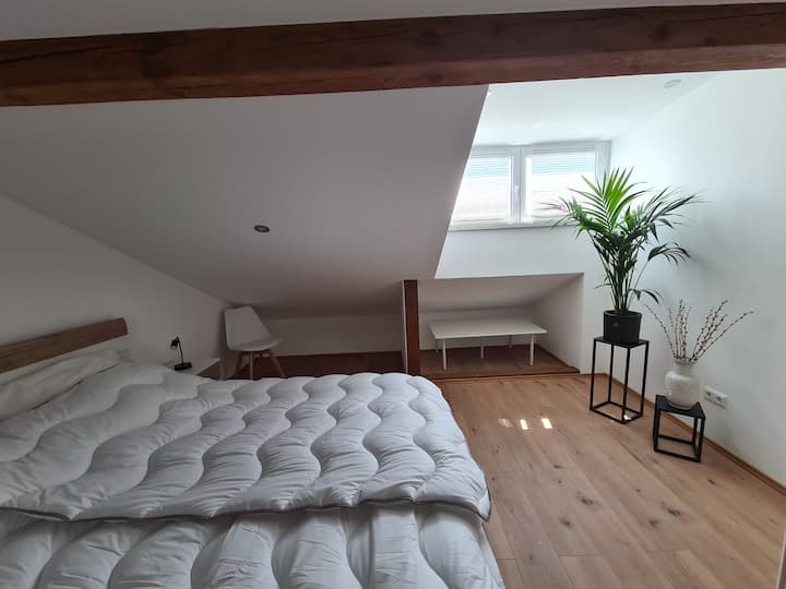 Ruhige Dg-wohnung Mitten In Ulm. - Ulm