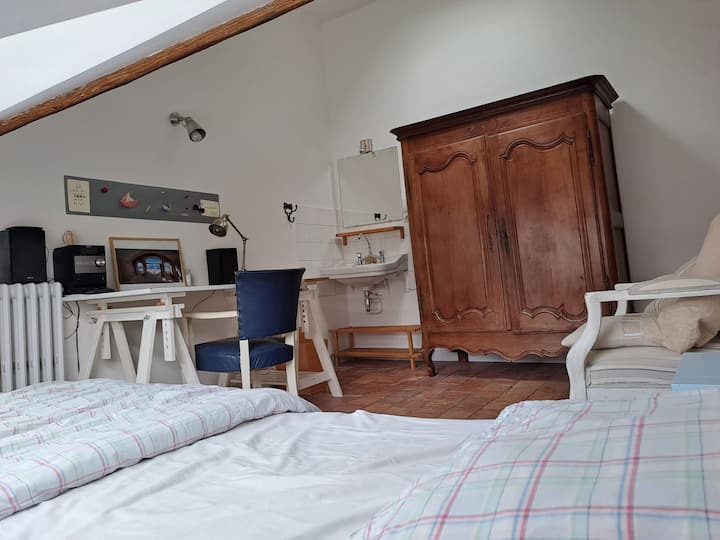 Chambre Lumineuse Ney / St Serge - Angers