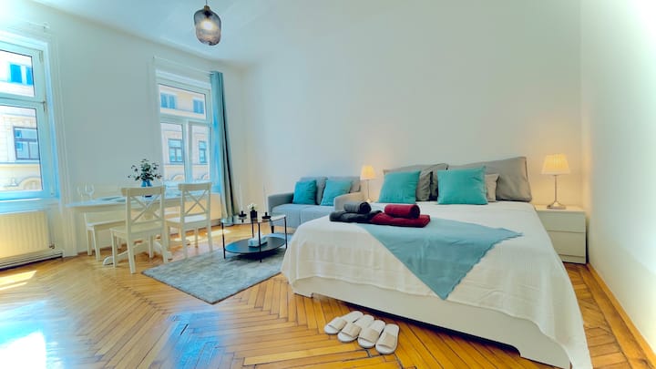 Elegant Room Next To Old City - Vienna
