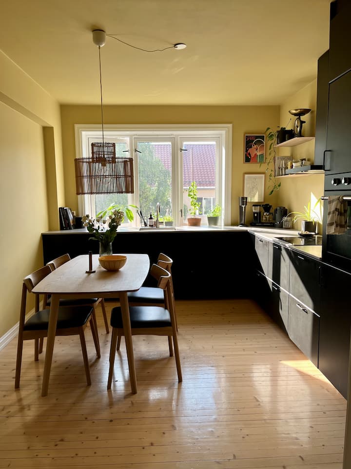 3-roms Leilighet På St.hanshaugen - Oslo