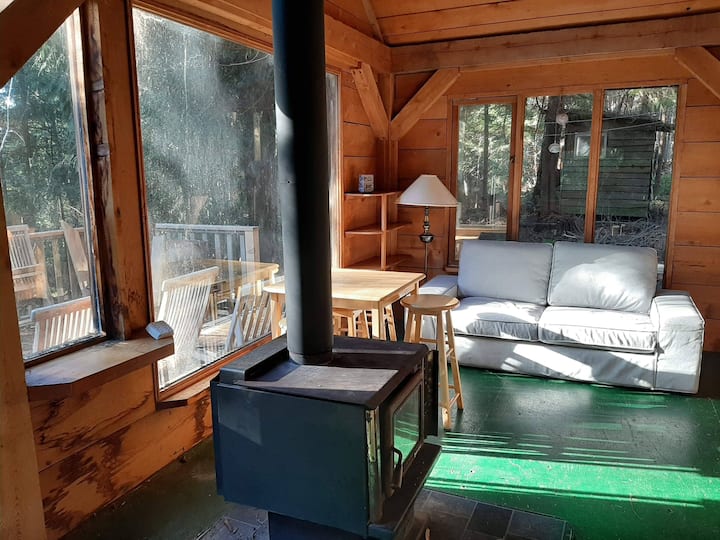 Cozy Rustic Cabin On A Hill. - Salt Spring Island