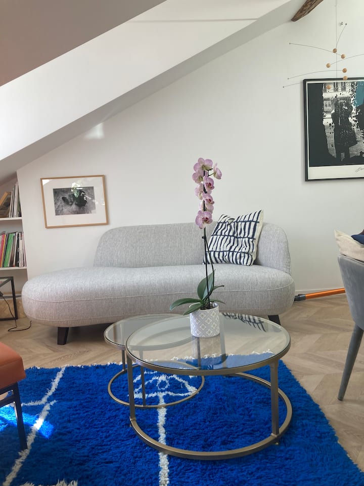 Appartement Atypique Central - Paris