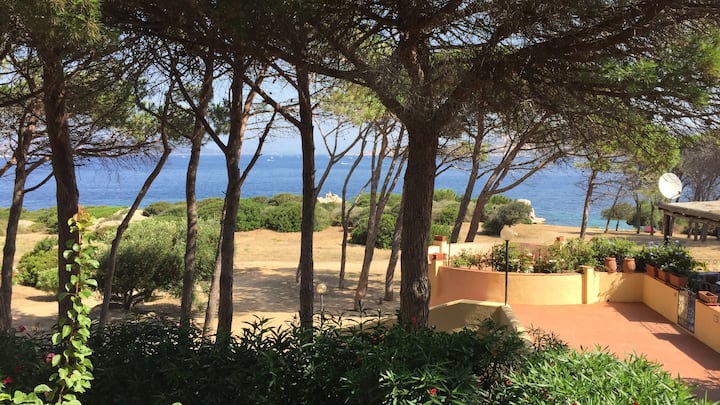 Sul Mare, In Pineta - Palau