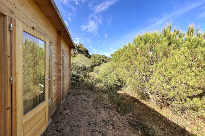 Sunshine Haven: Wood Bungalow For Peaceful Escapes