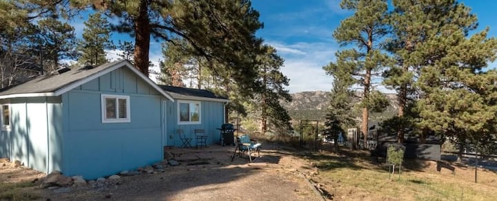 Tree House - Estes Park