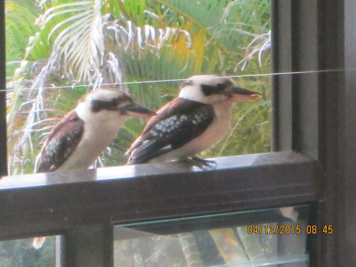 The Overflow
Extra Accom To Visionsplendid Airbnb - Wingham