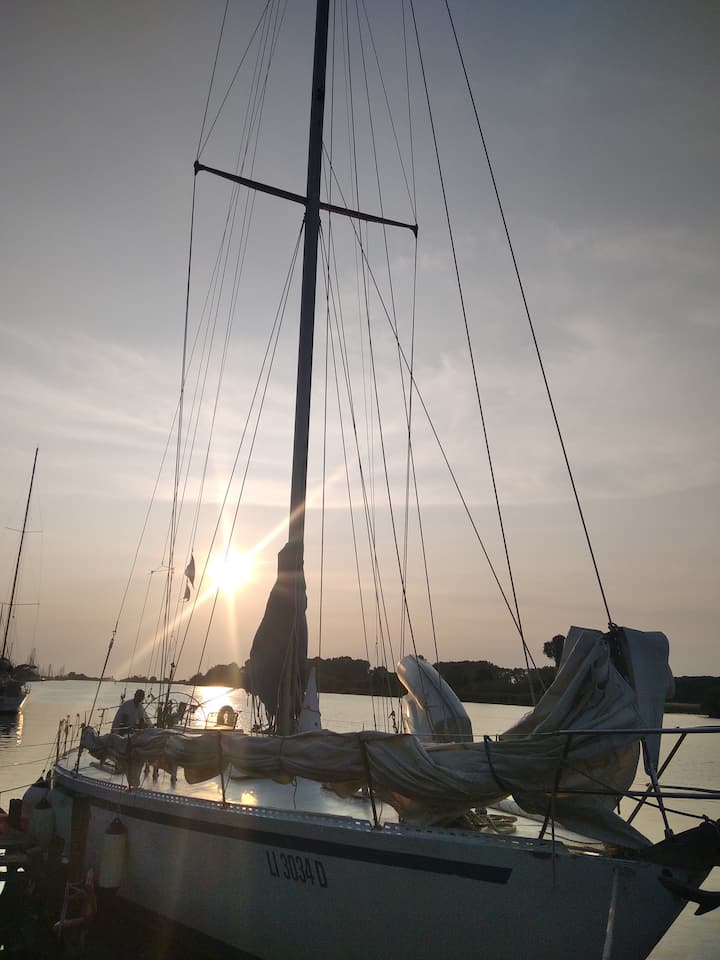 Miranda Vi - Livorno