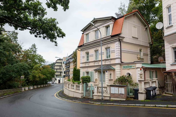 Rezidence Palmbaum - Luxury And Relax - Karlsbad