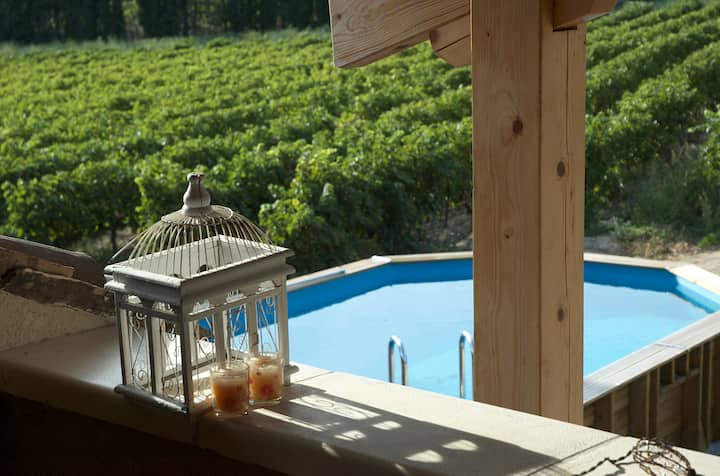 Gite Dans Domaine Viticole - Vaison-la-Romaine