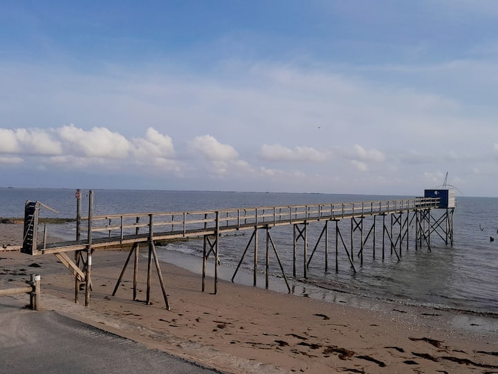 Les Papillons - Bourgneuf-en-Retz