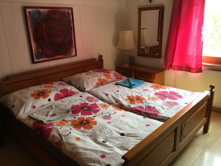 Room For Beduin  /  Zimmer 5 - Thun