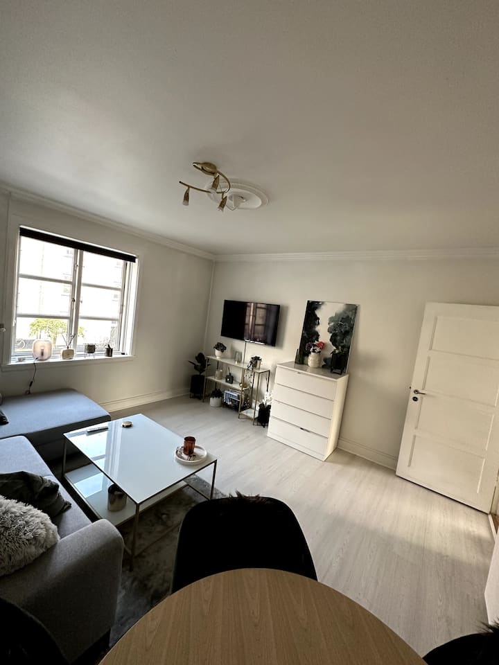 Moderne Bolig På Aggersvoldvej - Copenhage
