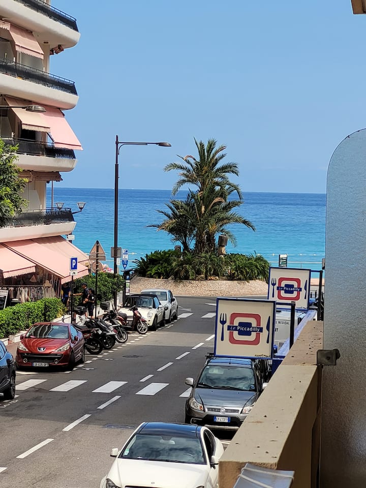 Studio Entre Plages Et Monaco Climatisé, Parking. - Roquebrune-Cap-Martin