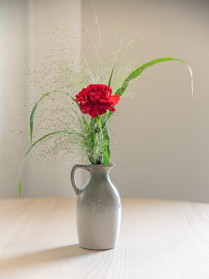 Dianthus Apartment - Lana