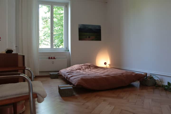 Ruhige Altbauwohnung - Lörrach