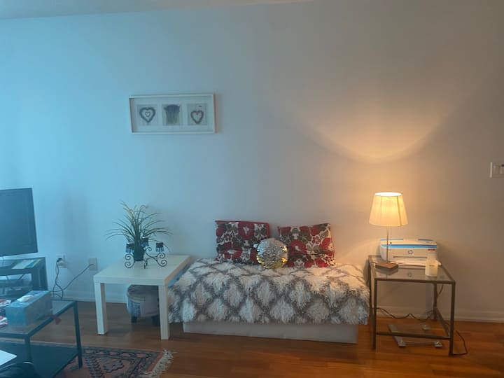 Lovely 1 Bedroom Downtown Condo With Parking - Toronto